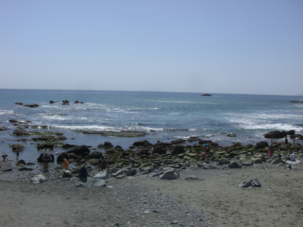 651-Dana Point Cove, CA – Where In The World Is Scott?