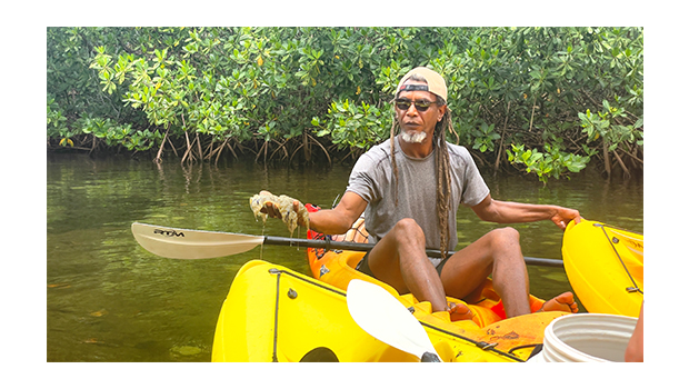 1762-Mangroves – Caribbean – Where In The World Is Scott?